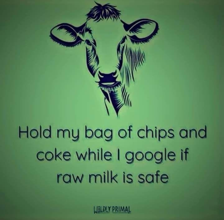 Ann Barnhardt - Edwin’s Newsletter #1