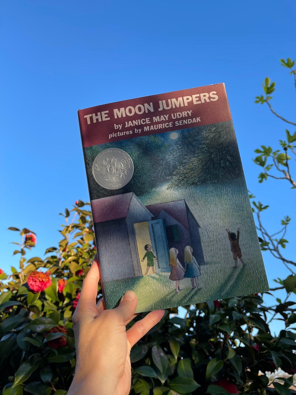 A Shock of Delight - by Taylor Sterling - MOONBOW