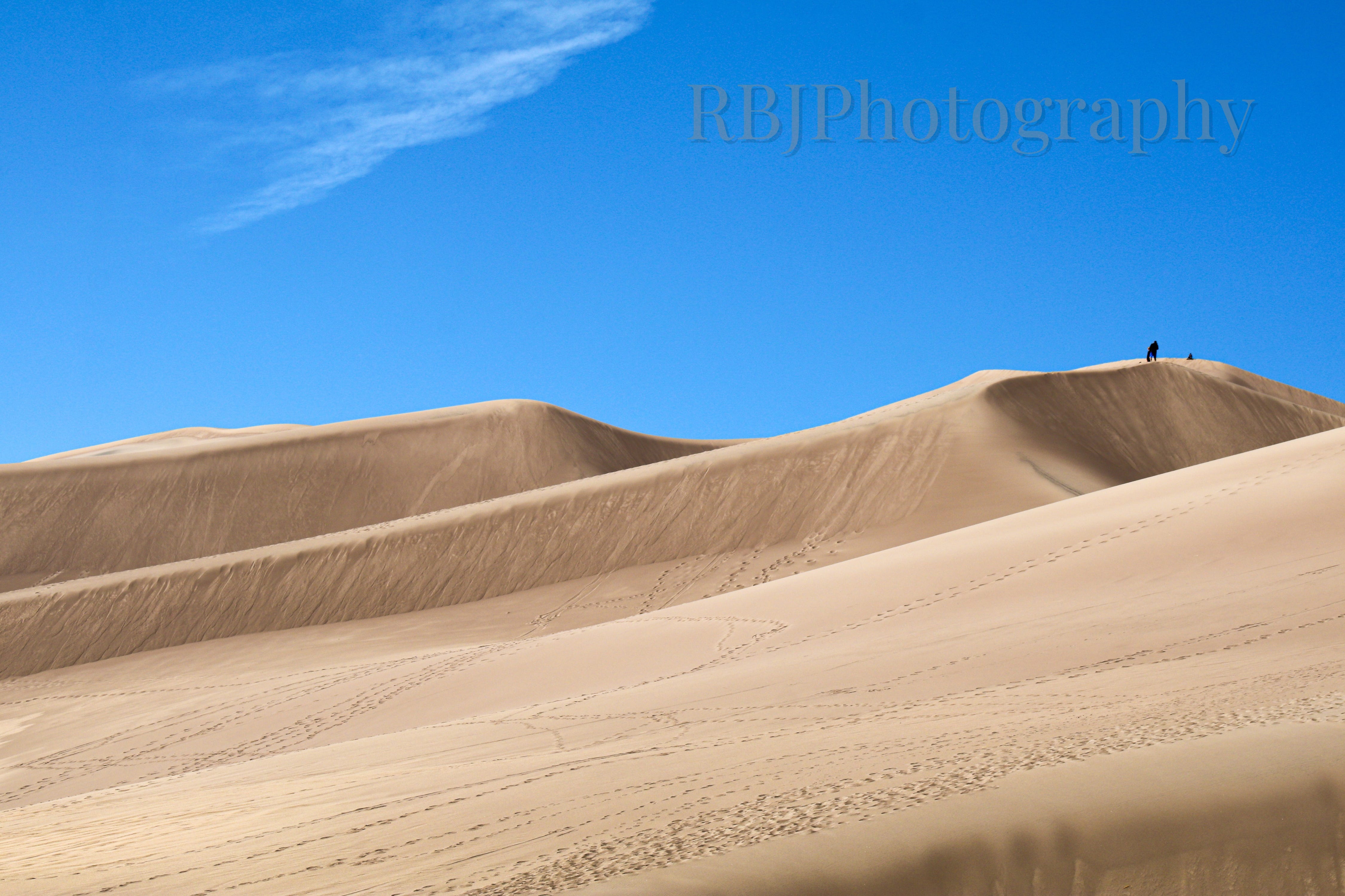Sand Dunes National Park - by Rachel Jeffrey