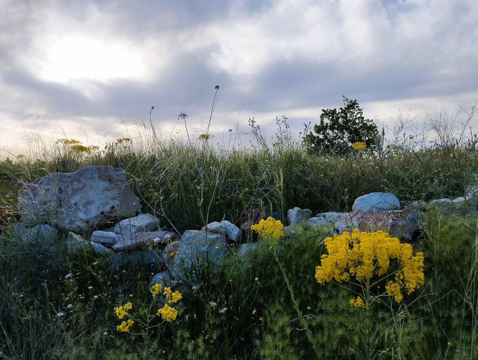 BALANCE, RHYTHM & HARMONY - by Minaz Ansari