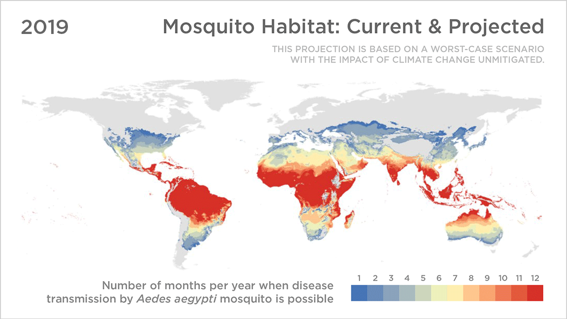 Mosquitoes are increasing with climate change