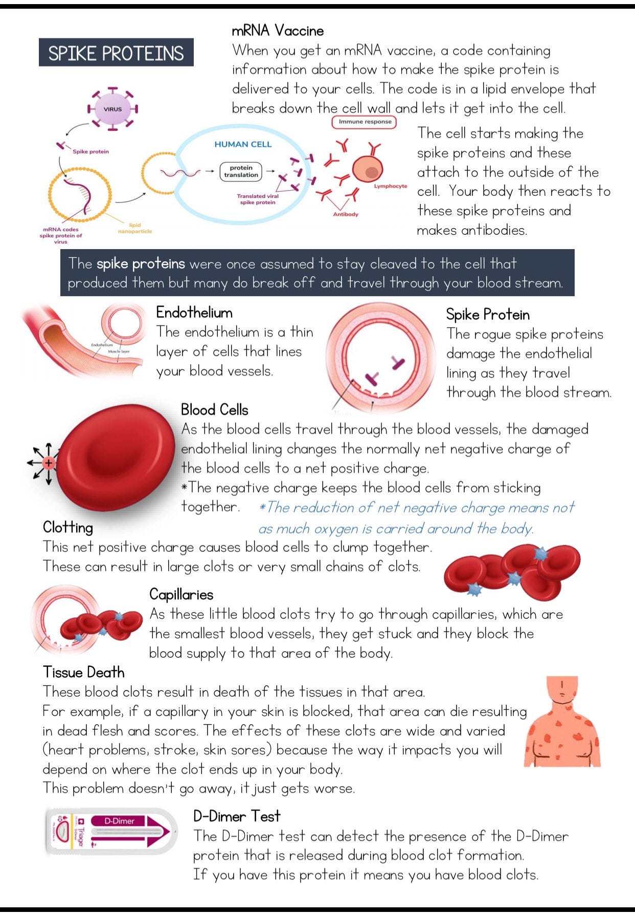 突刺蛋白（Spike Protein）是生化武器！ - 西行小宝’s Newsletter