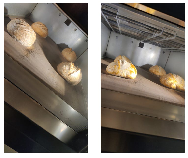 Week 3 (First Experiment) - by Ziggy - The Bread Scientist