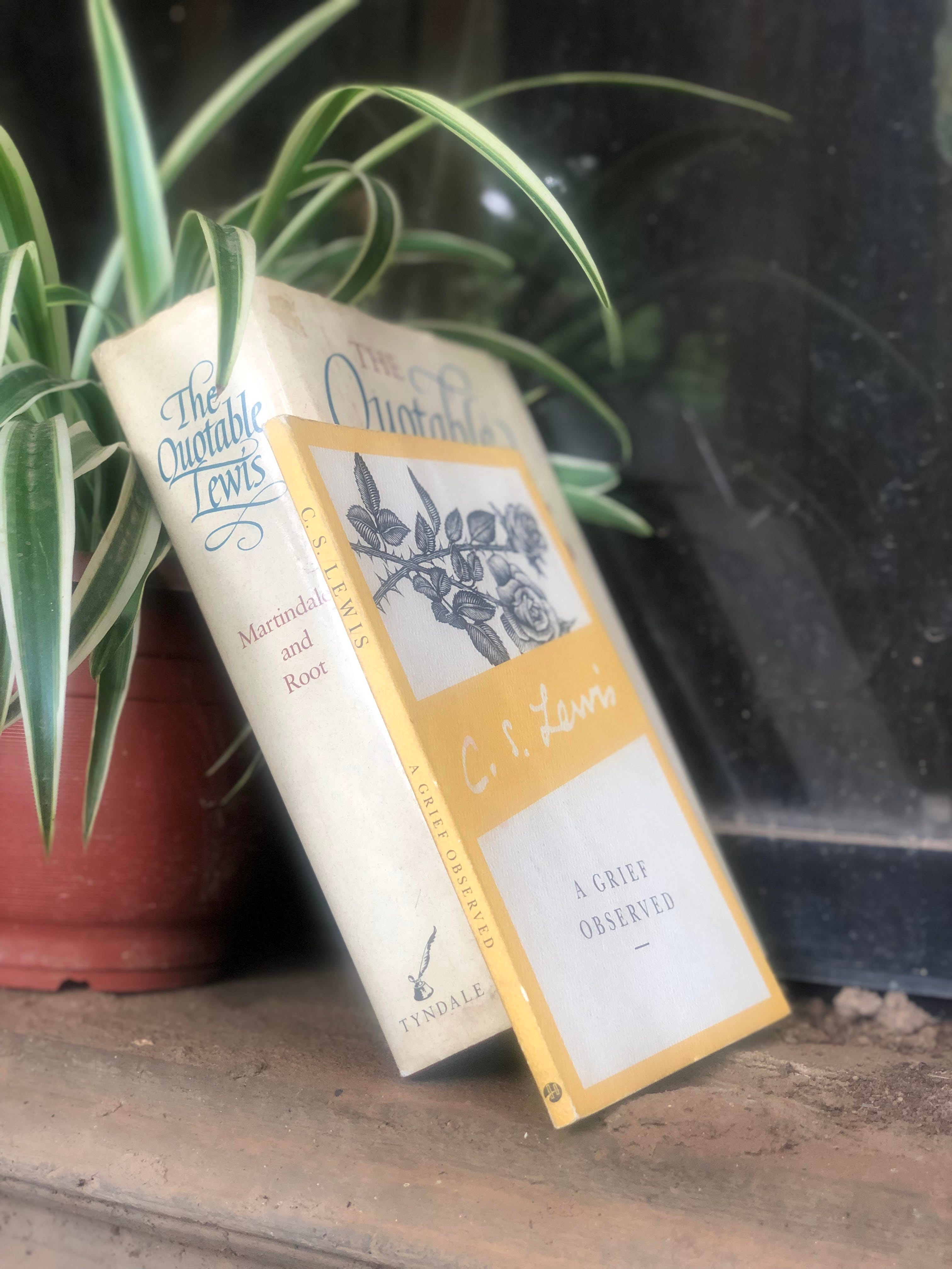 Dolapo’s Attempts at 'C.S Lewis-ing' | Substack