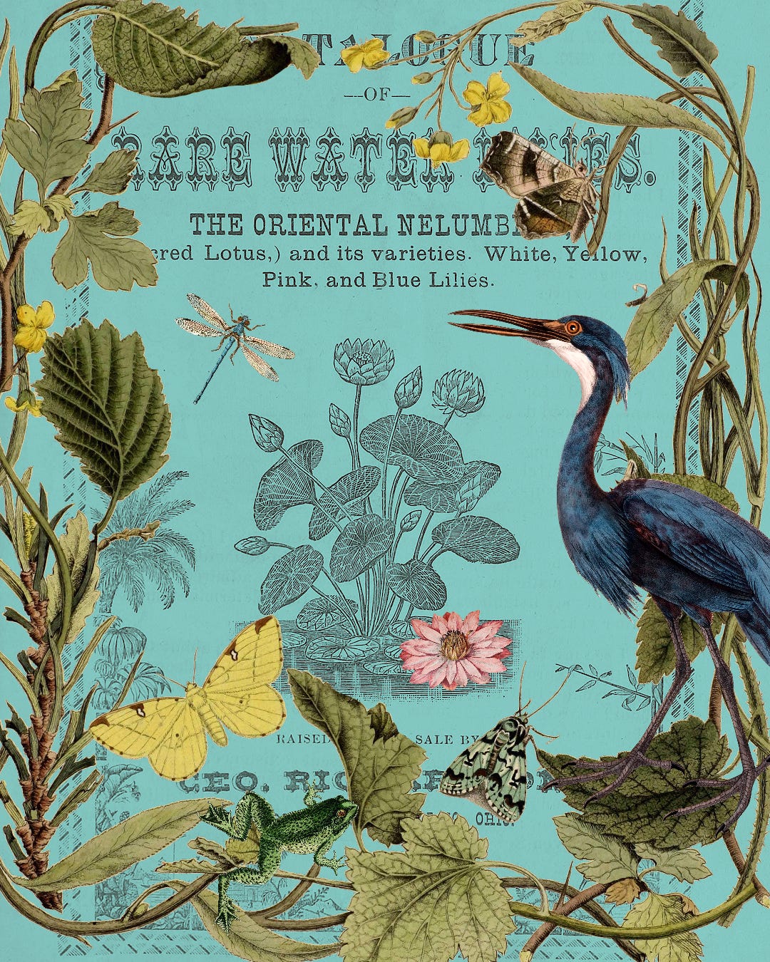 I is for I’m Absolutely Knackered - by Dr Rachel Morris