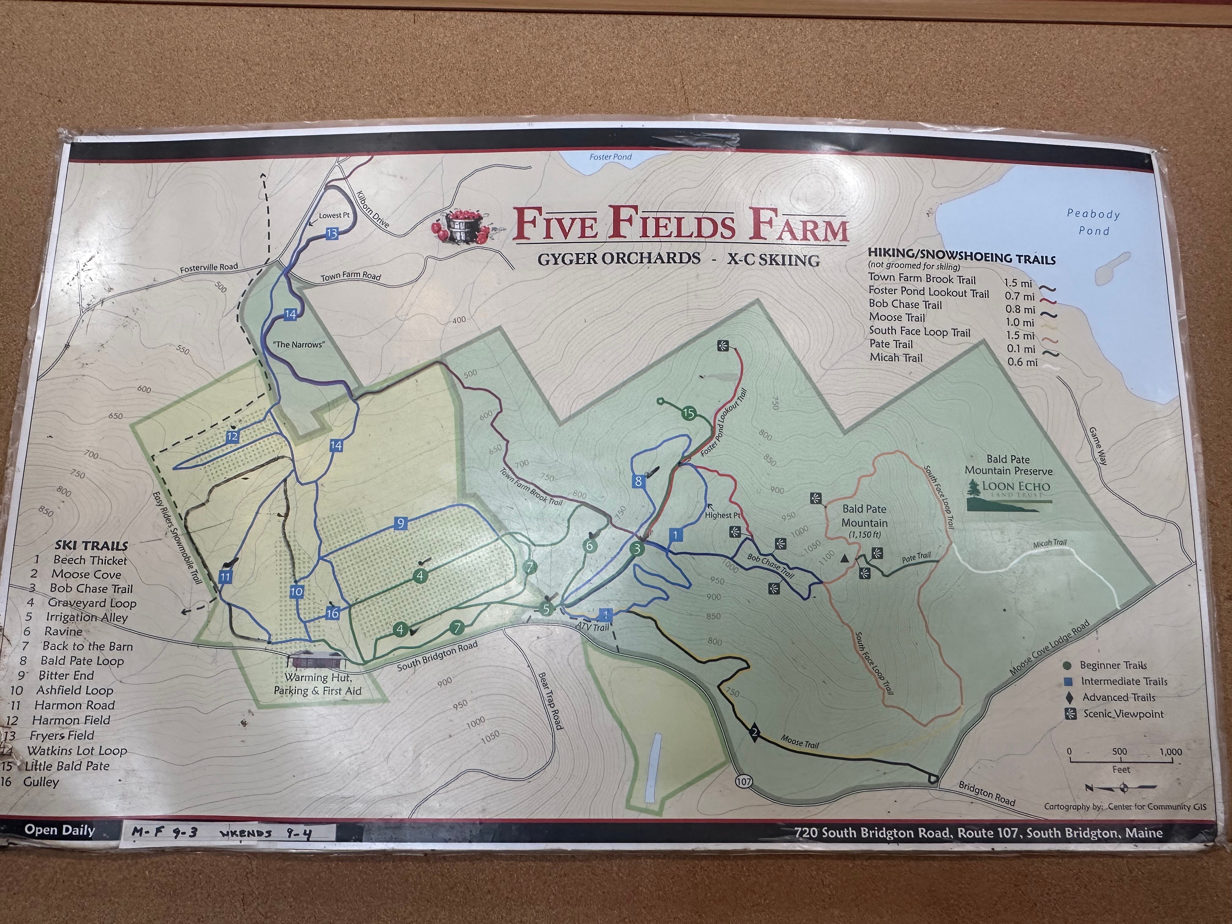 Kids on Skis - by Gillian Schair - Gillian’s Substack