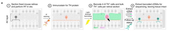 Landscape of Sequencing-based Spatial RNA Technology: Part I