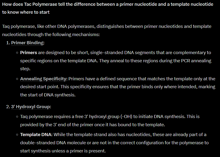 The Magic of Enzymes - by Jamie Andrews