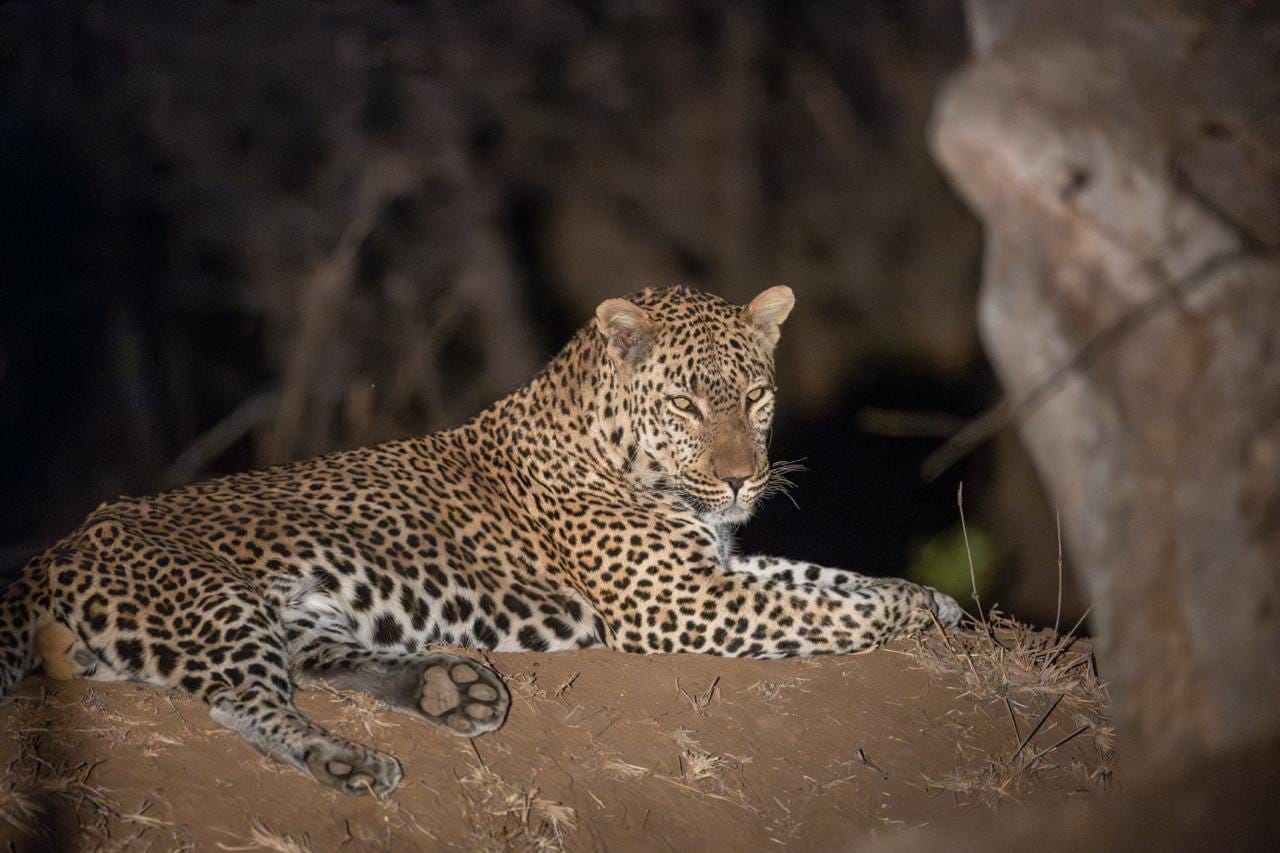 Monthly newsletter - August 2024 - by Marine