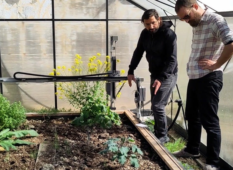 Liminal Village – The Liminal Learning Portal