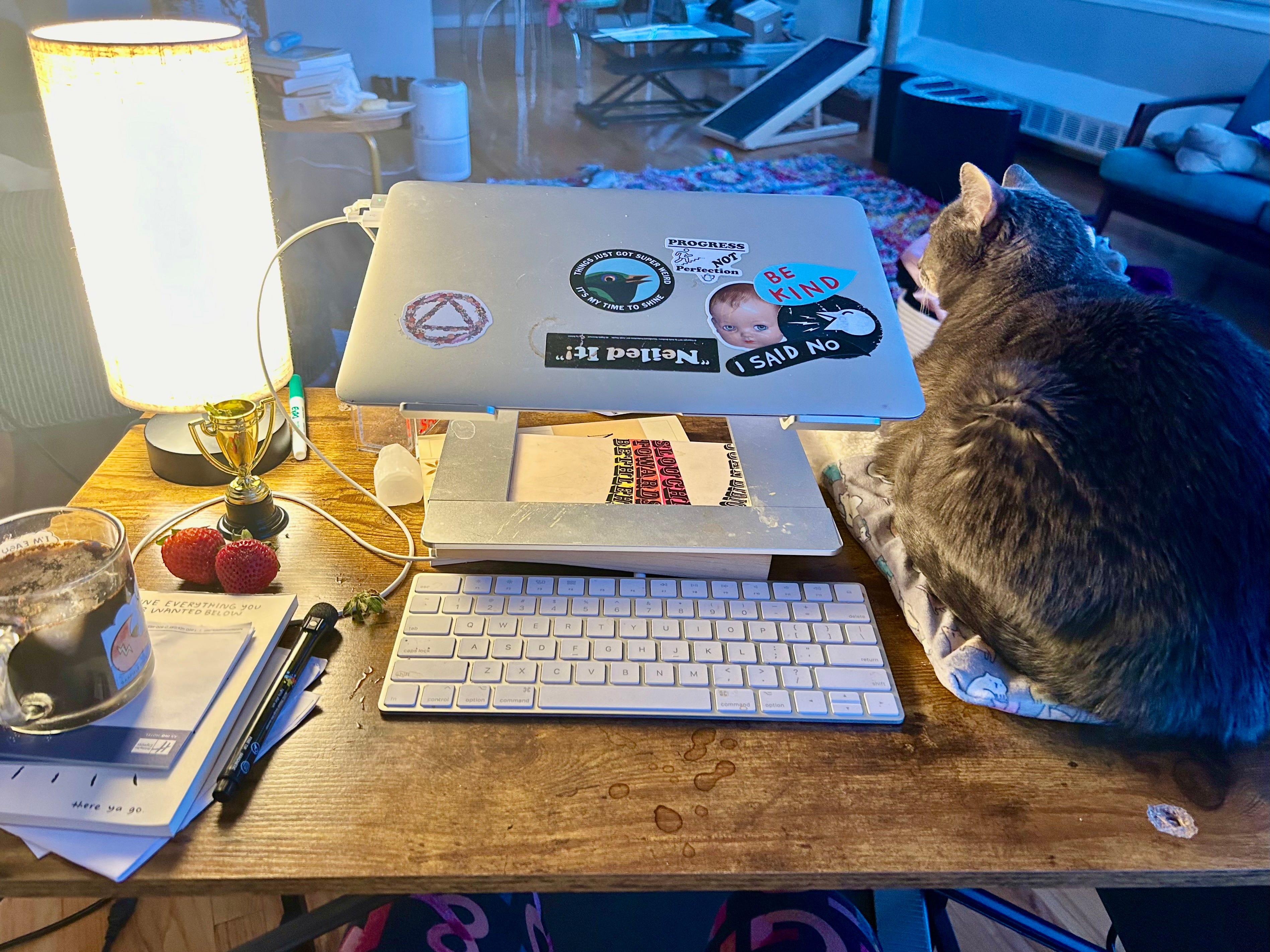 The Eternal Mystery of How to Write Alongside a Cat
