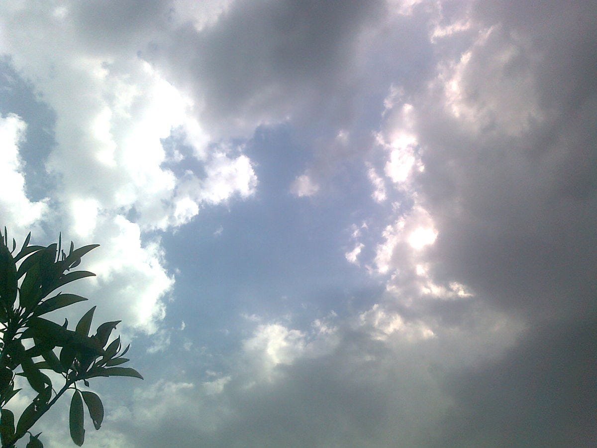 On the Idea of Windows, a Tanka, and Heartburn in a Cafeteria