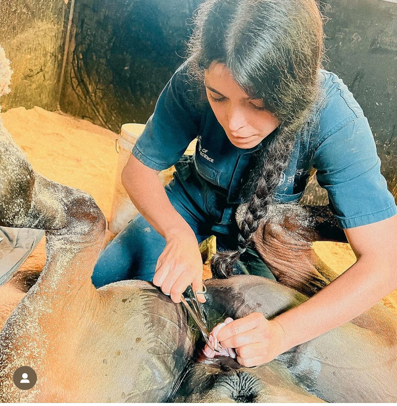 Brainy Bilby: MCQ survival guide - Email #1