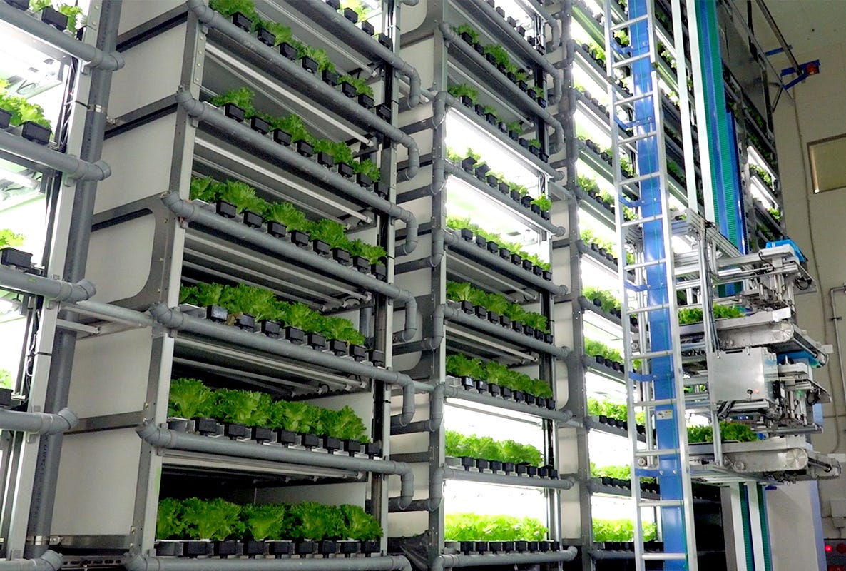 Japan's Vertical Farming: Rising High With Local Innovators