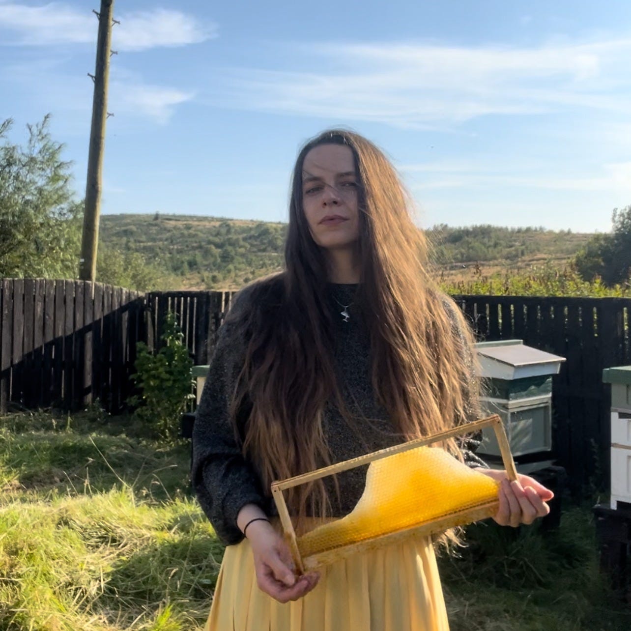 Bees & Beyond 🐝 | Substack