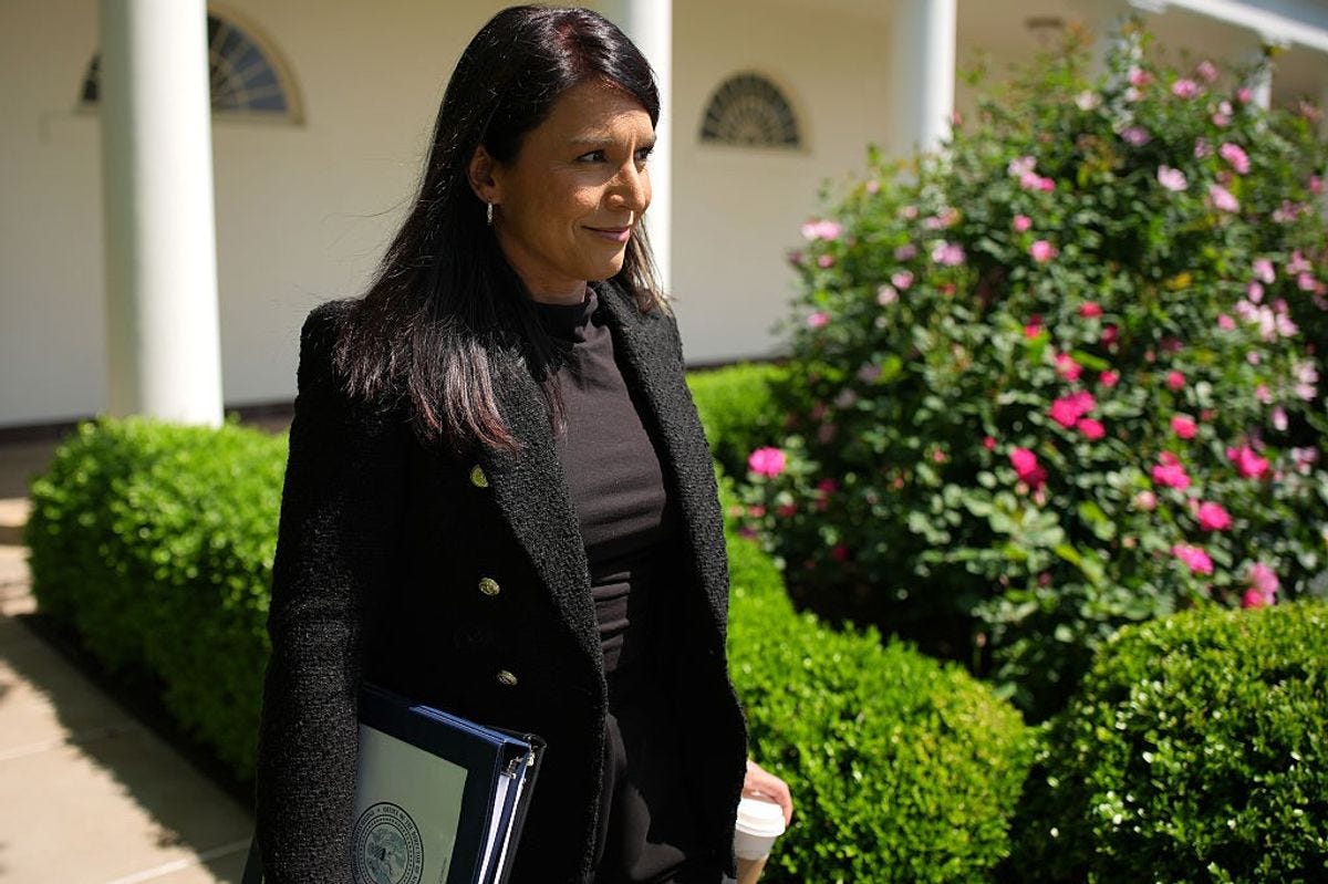 Tulsi Gabbard busy draining swamp of Obama/Biden holdovers (PLUS a fun ...