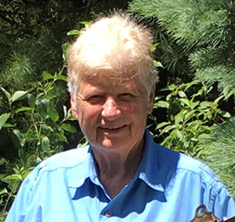 Judith Fetterley | Substack