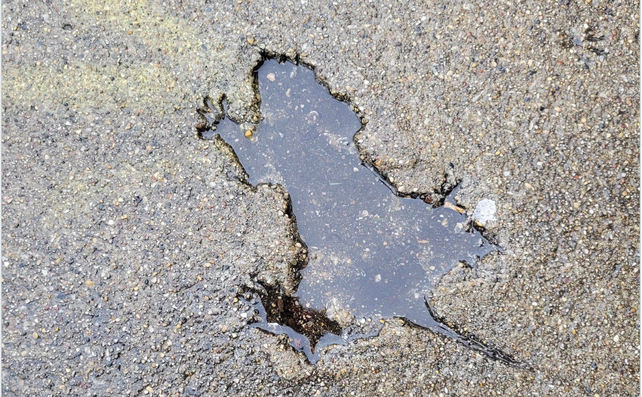 The splat rat's days appear to be numbered