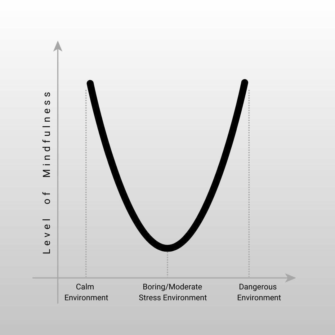 The Problem with Self-care - by Fereshteh Saaei