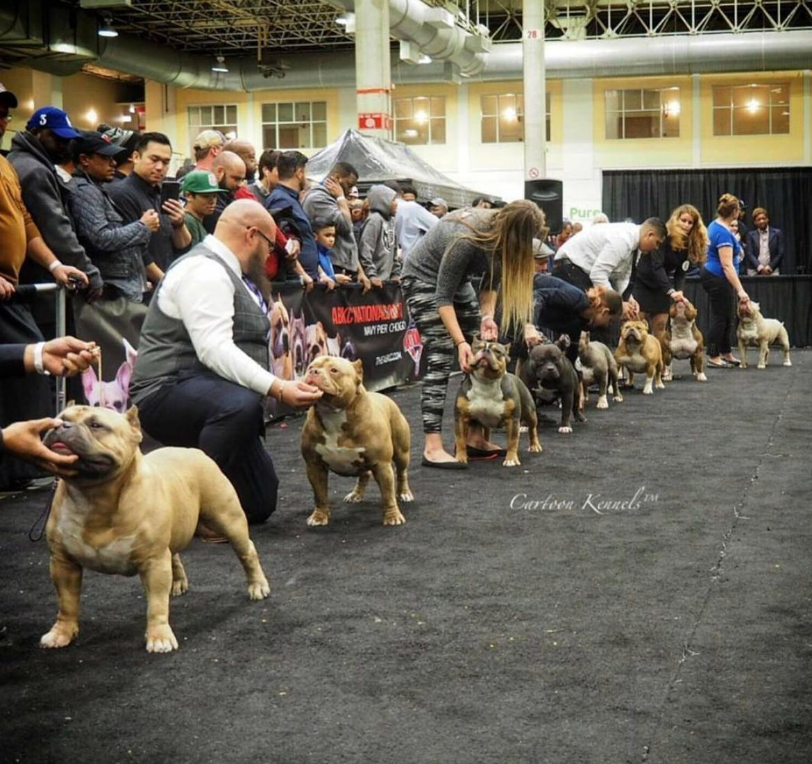 Episode 183: American Bully X - Blocked and Reported