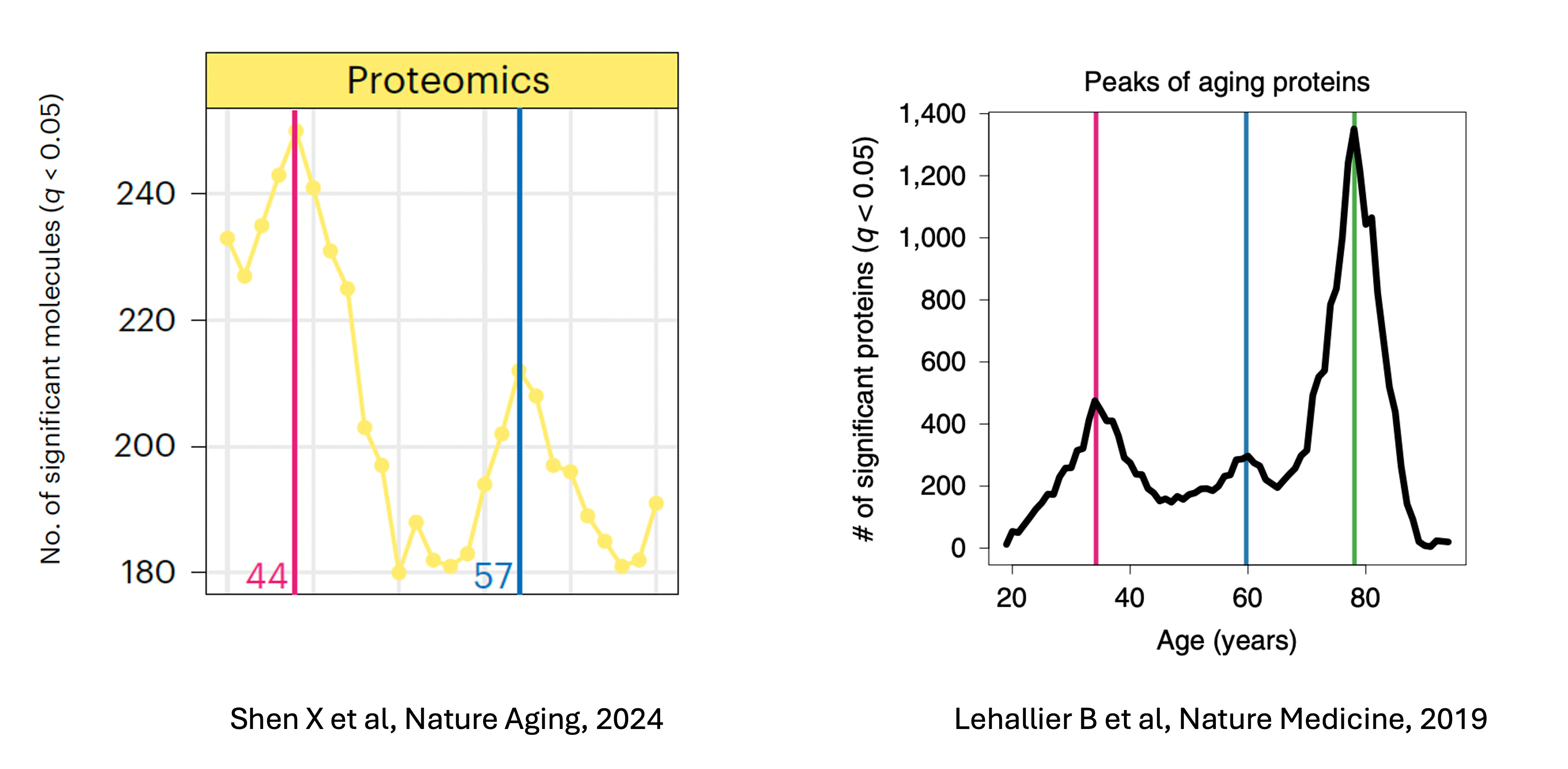 What Can 11,000 Proteins In Our Blood Tell Us?