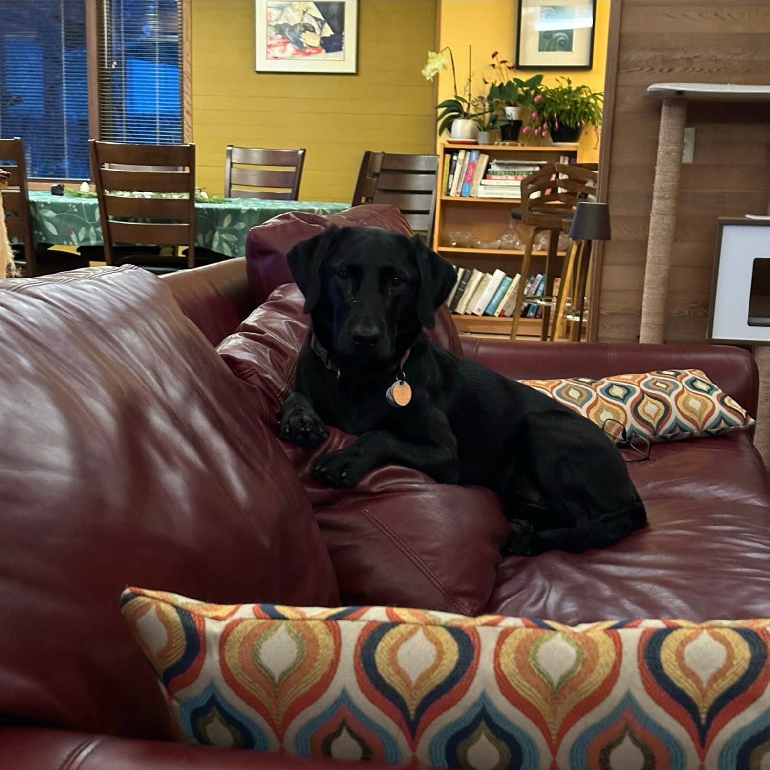 Lot-splitting sprints out of the house - by Tim Gruver