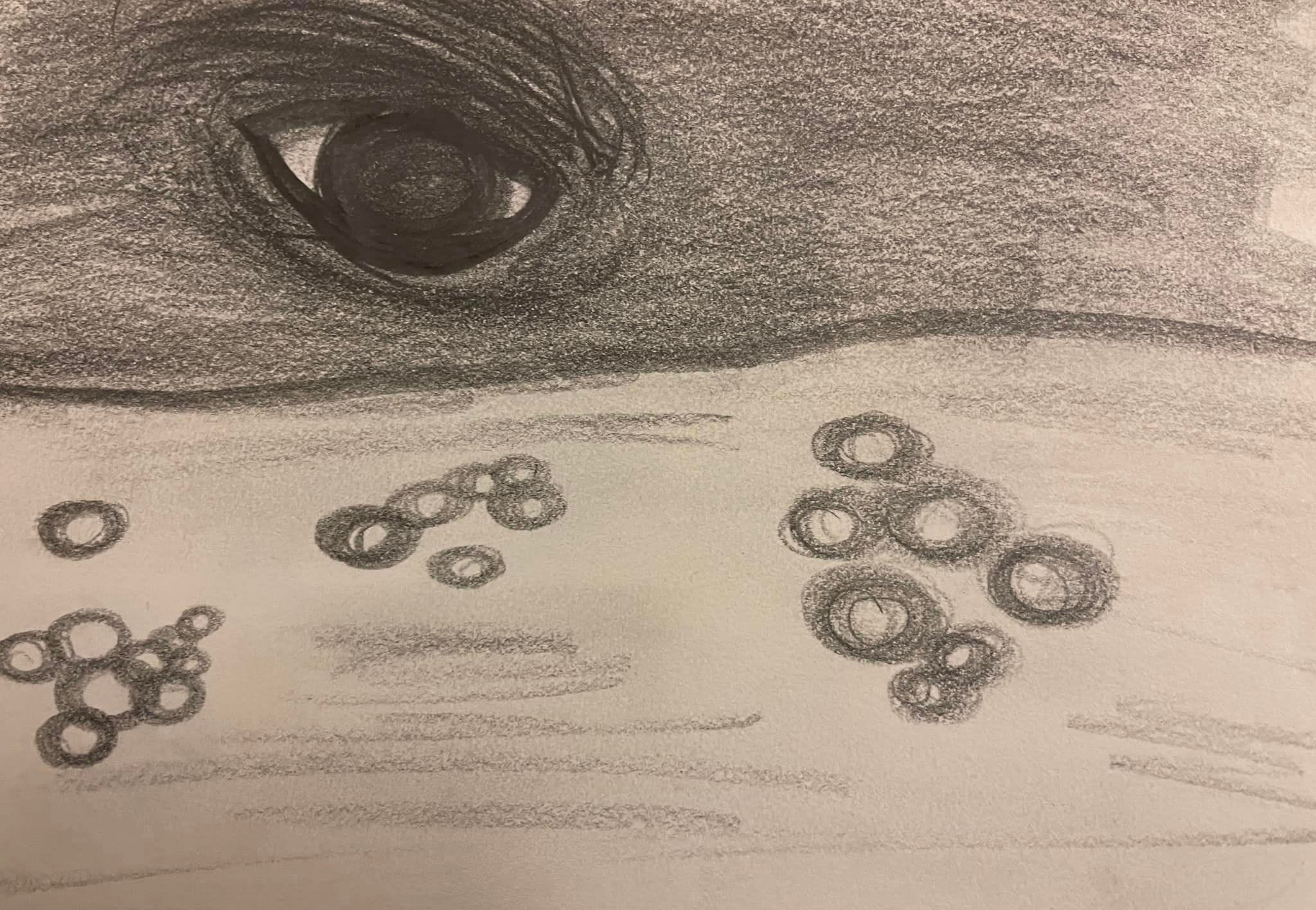 drawings - by Alyson Archibeque