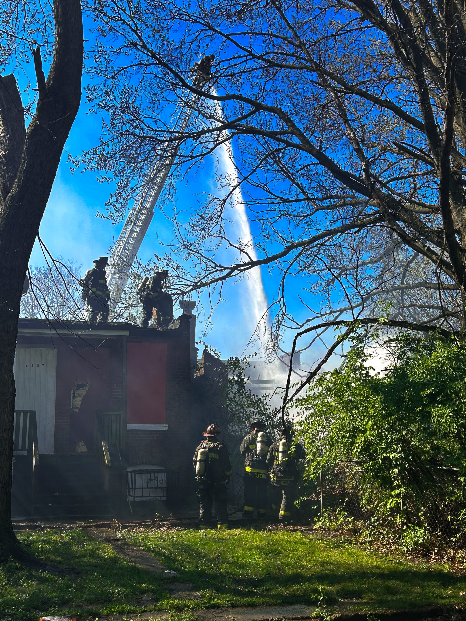 Transformed by Fire - by Andrew Wimmer