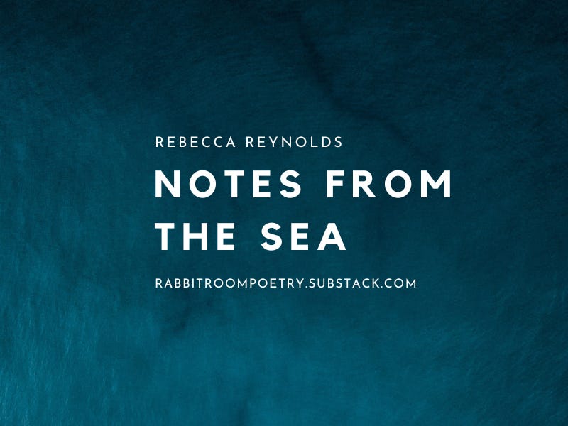 Notes from the Sea—Rebecca Reynolds - by The Rabbit Room