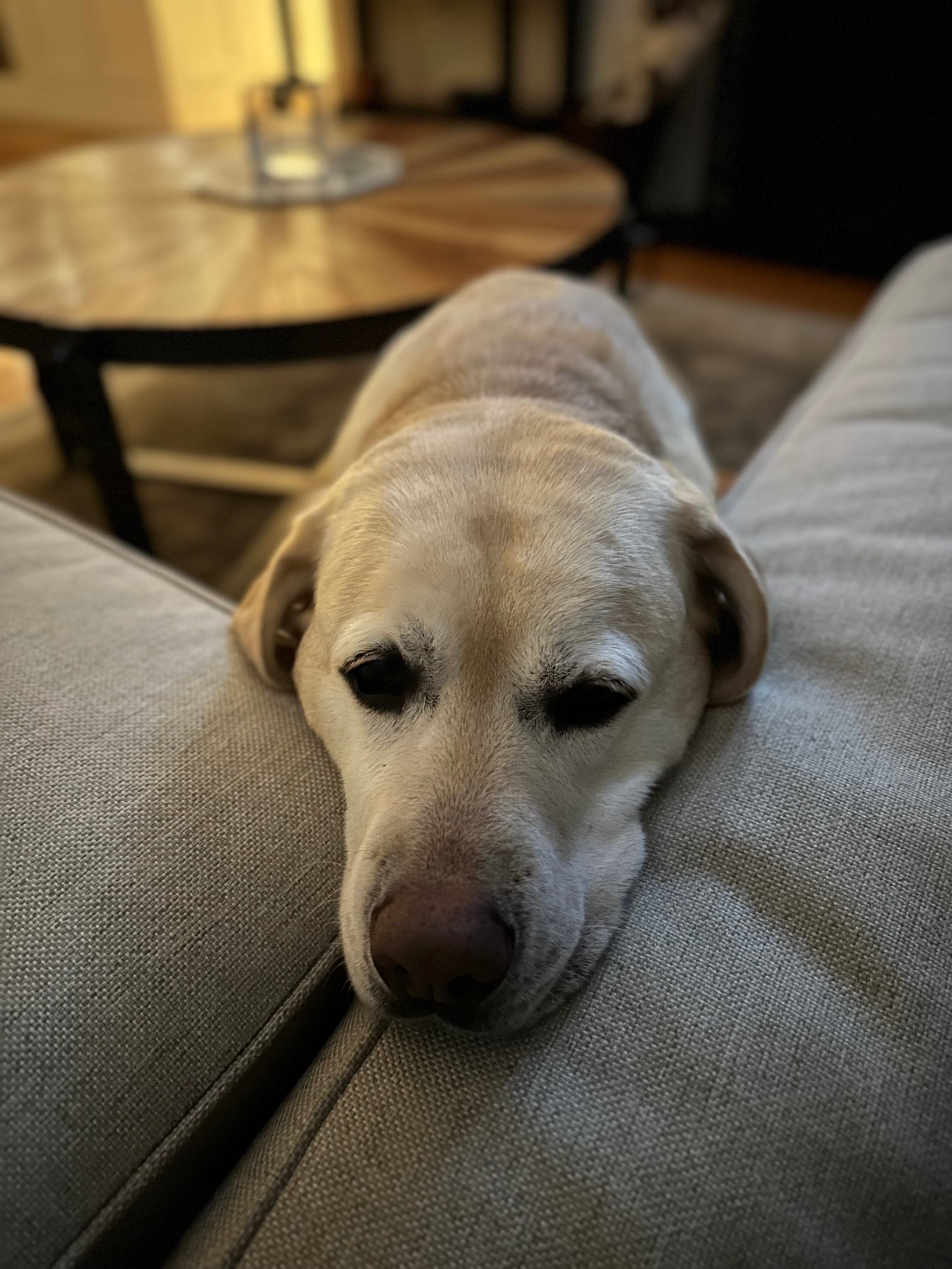 February 12, 2023 - by Trey Dobson, MD