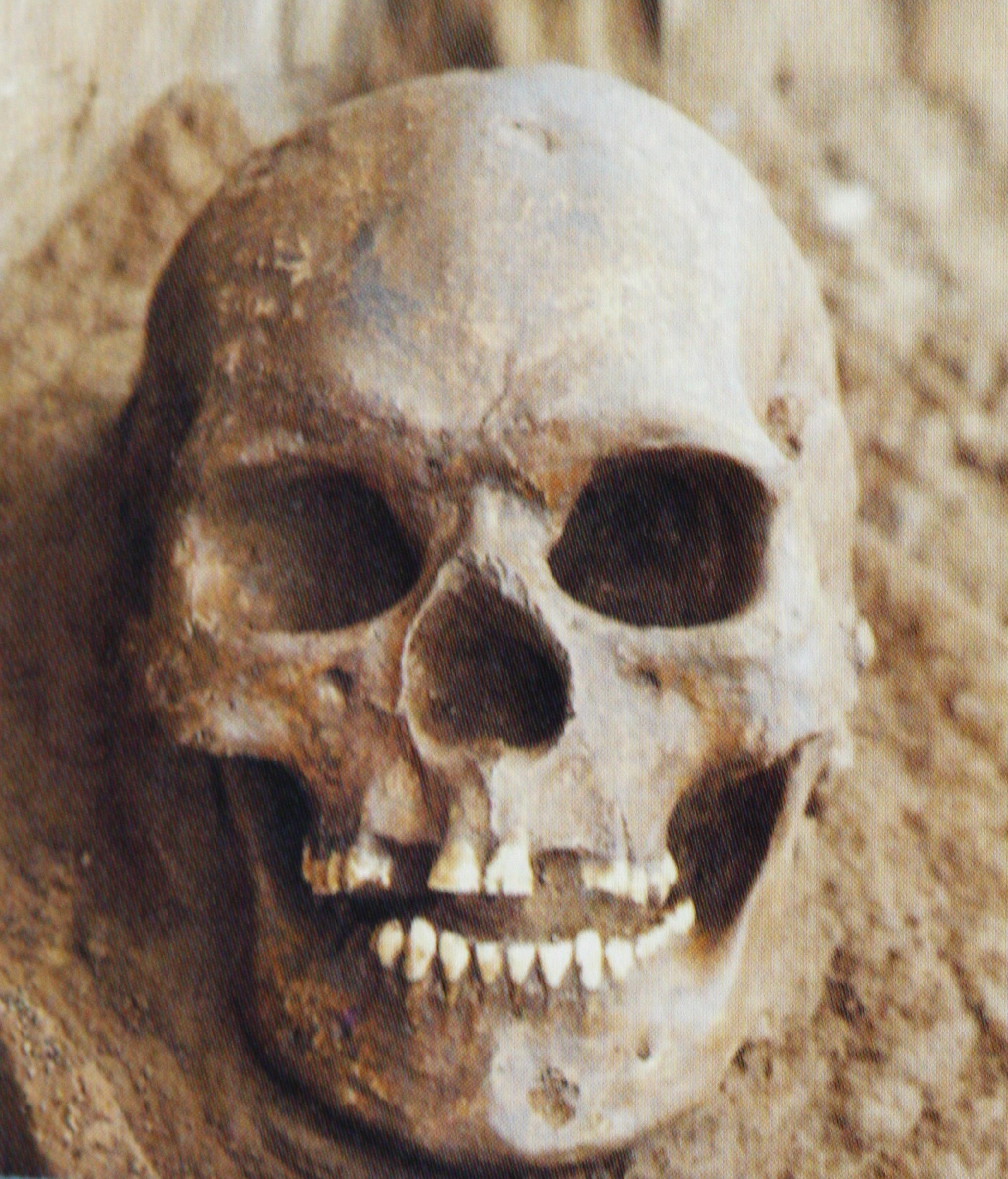 Chinese Relics | Beinan Skull - DeepChina