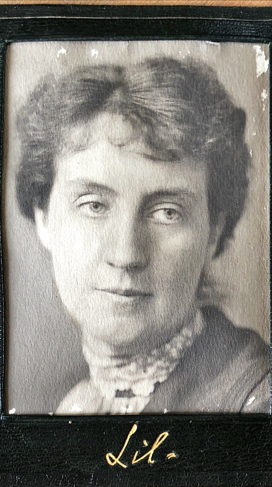 Spotlight on Lily Davison Cancellor - by Liz Howlett