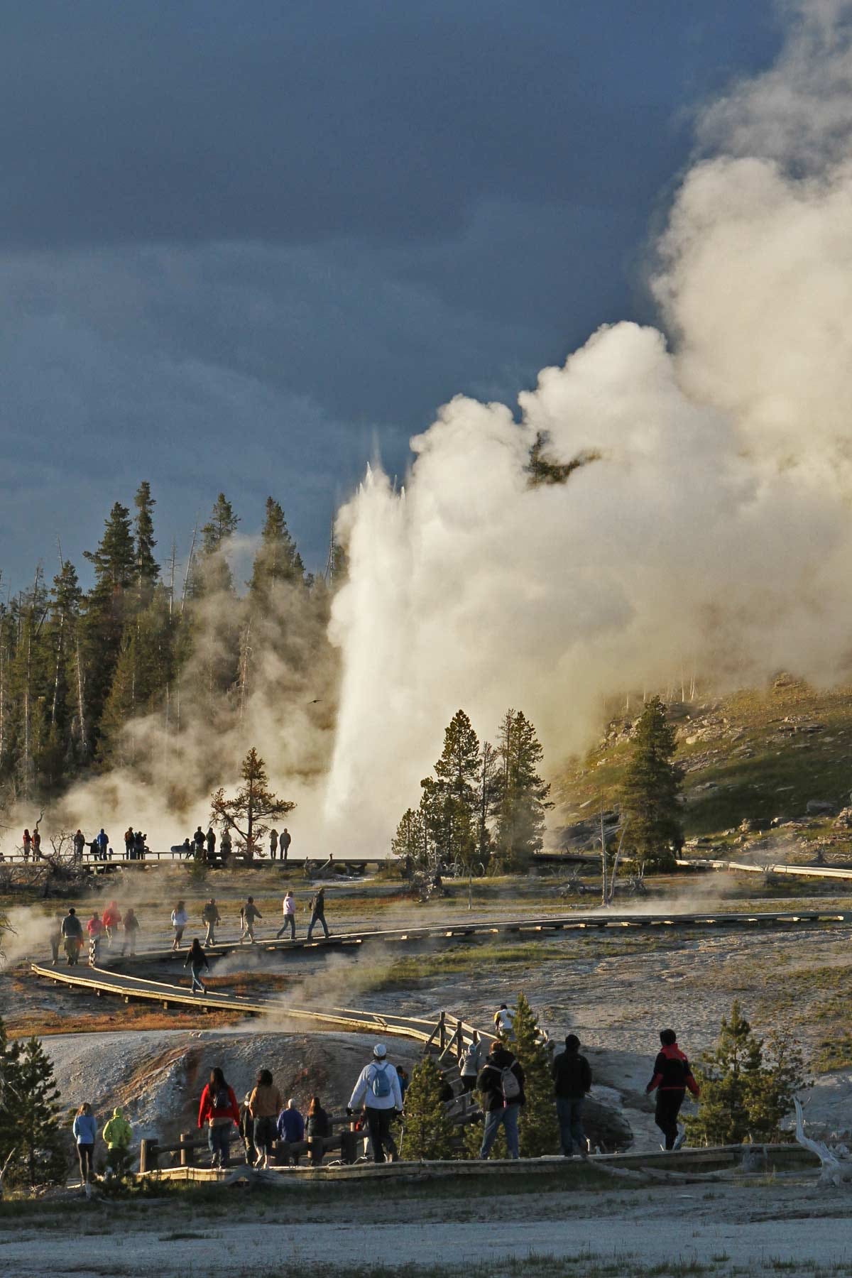 Where Should My Family Go? A National Parks Road Trip - Part I