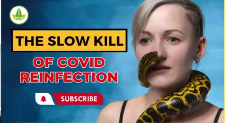 The Horrific Outcomes of Covid Reinfection