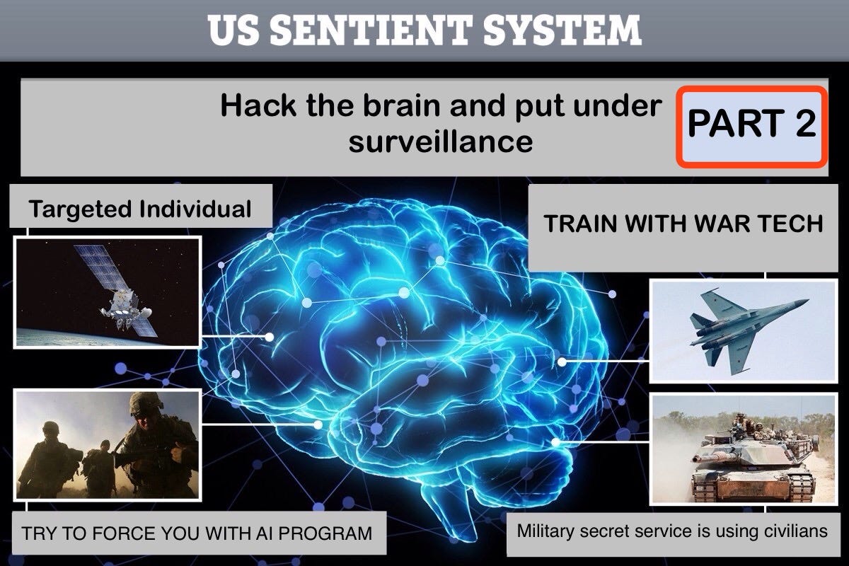 TARGETED 'PROGRAM' - 2 - - Ray’s Substack
