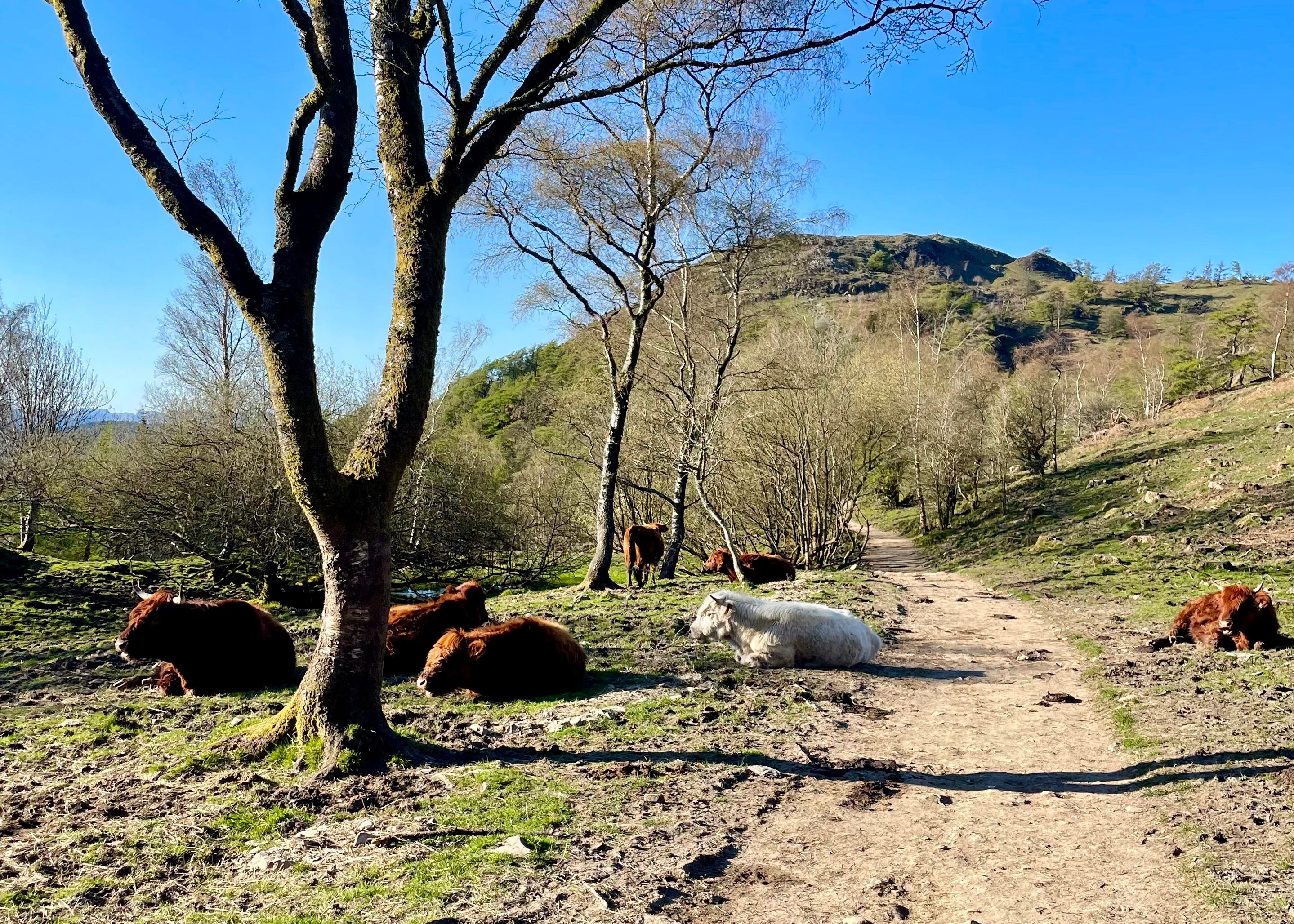 Good things #4 - by Elise Downing - Coasting