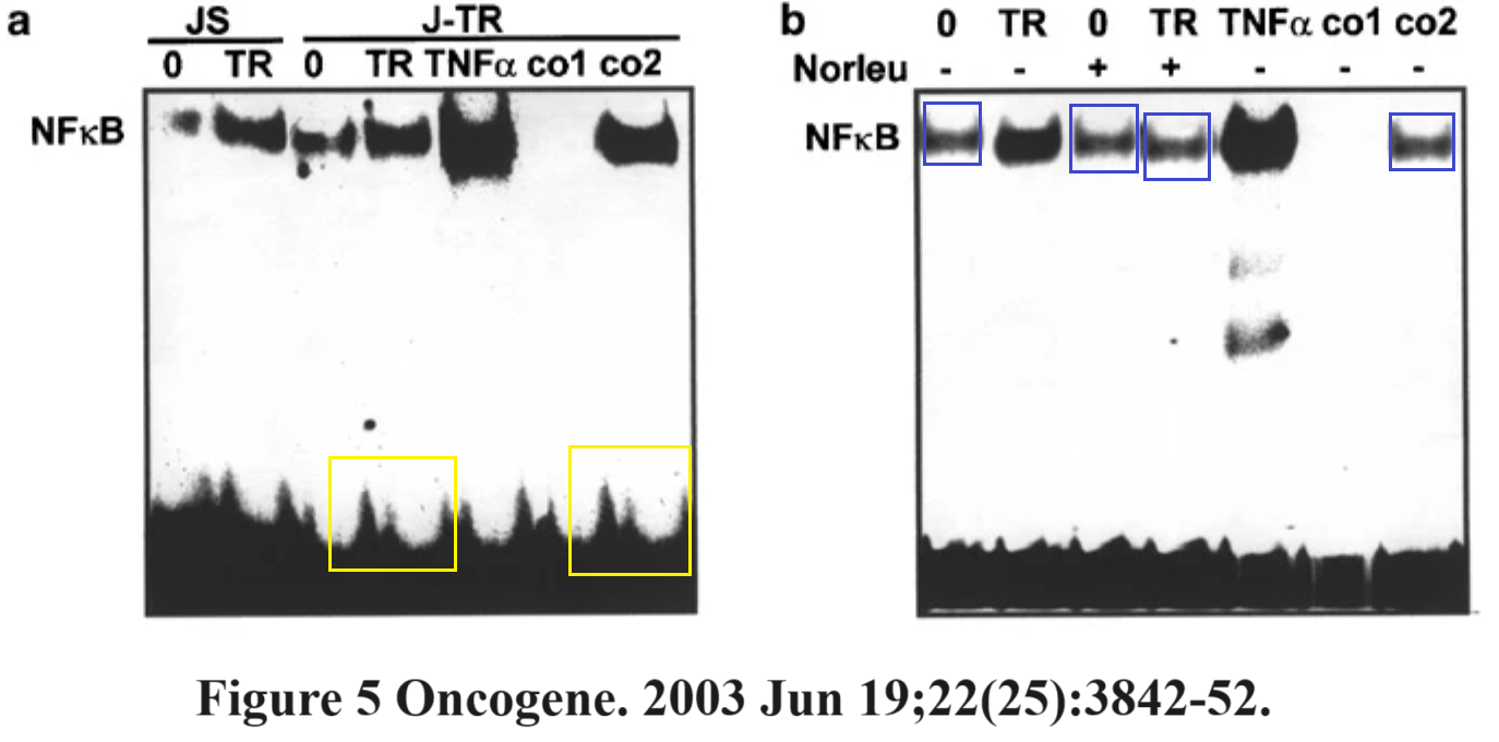 Who's Afraid of Data Fabrication? - by polimath