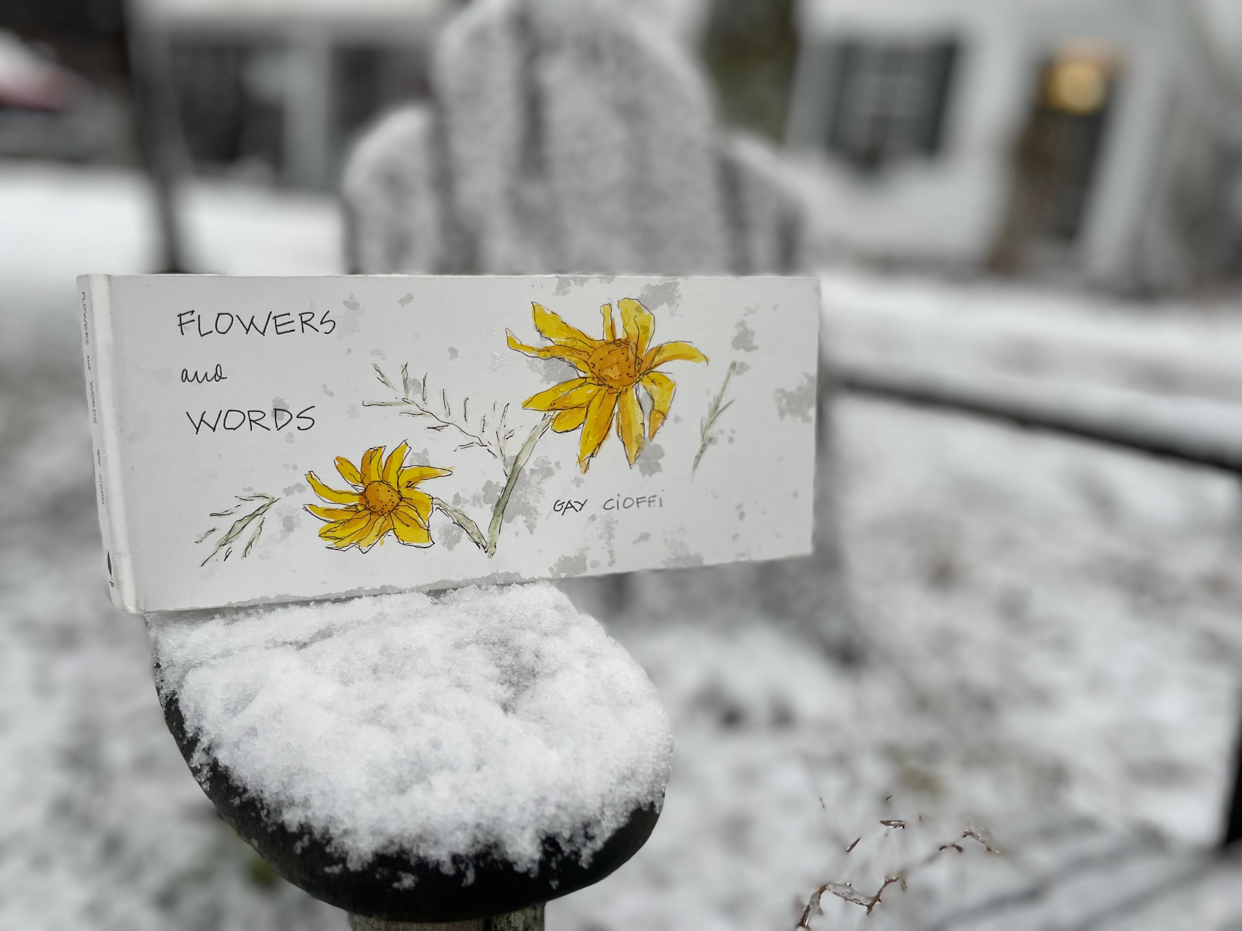 Blooms in Winter - by Amy Dickinson - Asking Amy