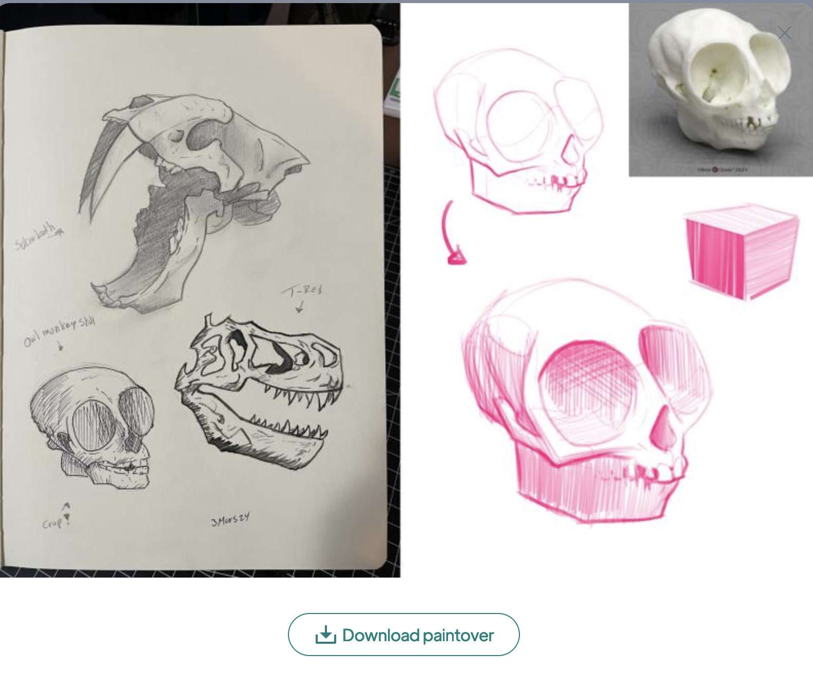 My Honest Review of ArtWod - by Jezz Lundkvist