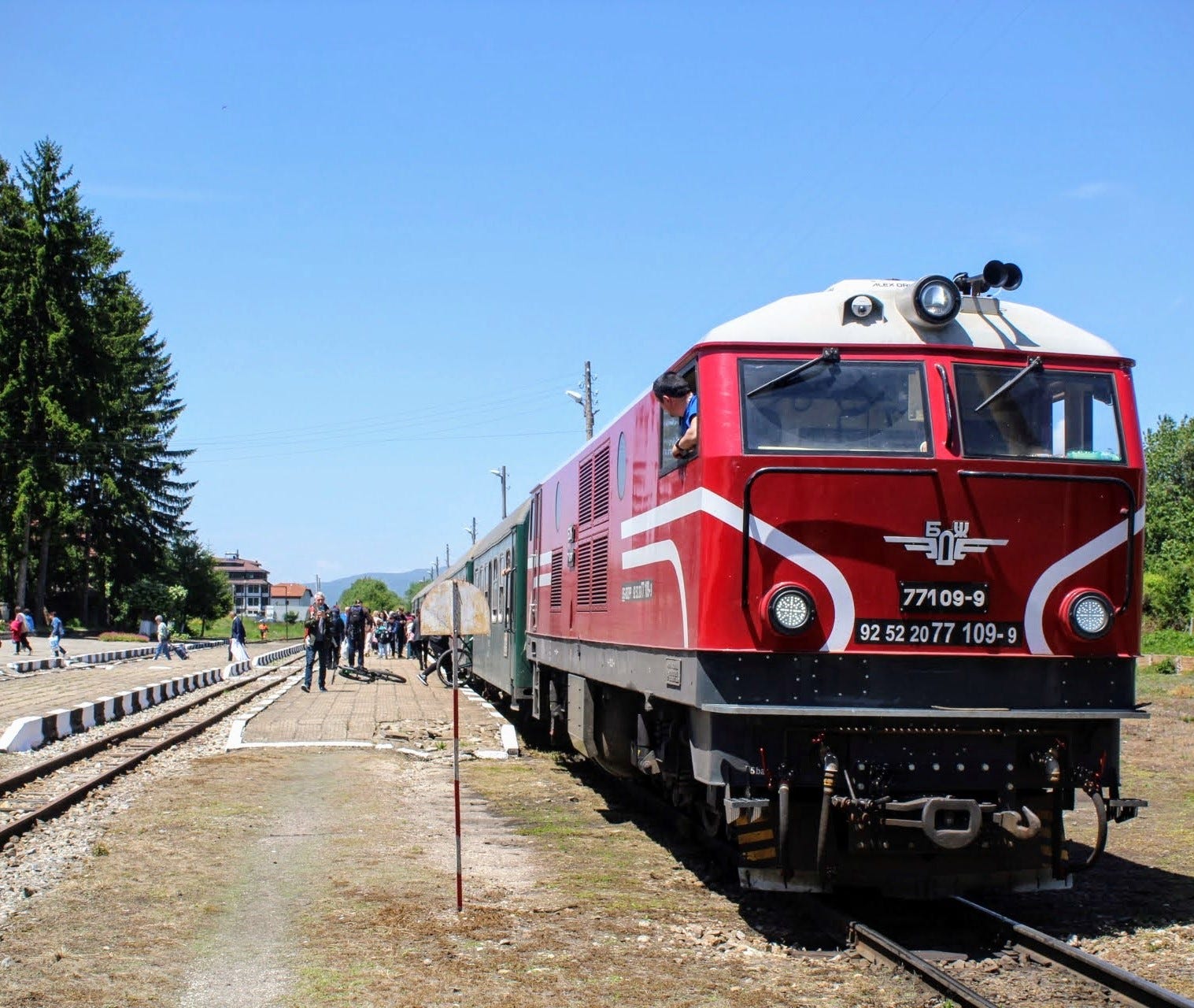 Train dreams - by Claire Ruston - Auntie Bulgaria's Kitchen