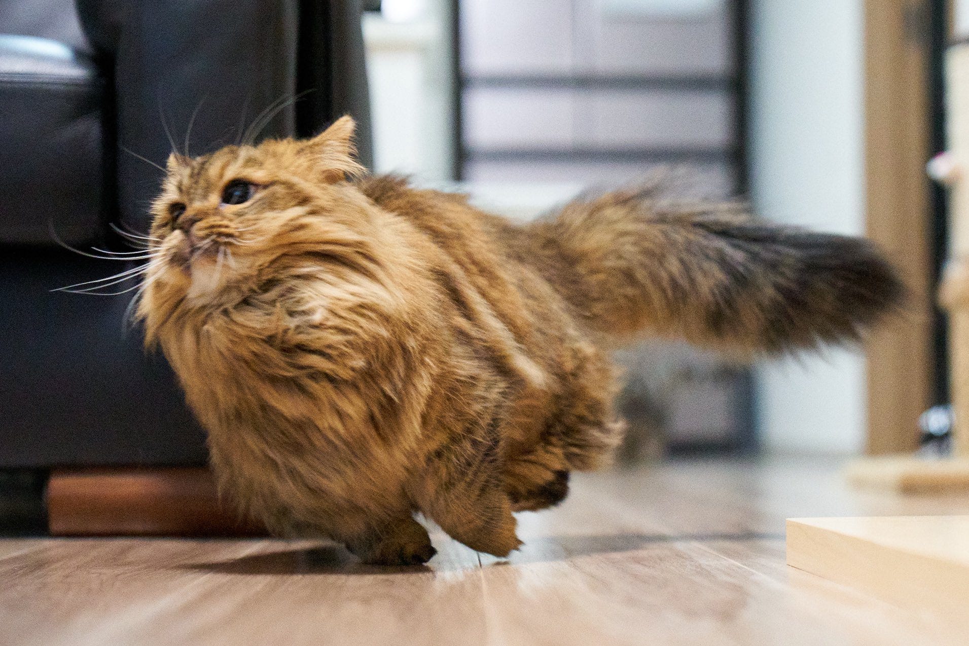 Flashback: Gingergate - The Conundrum Cluster