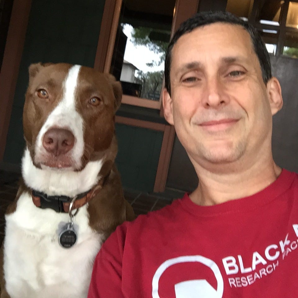 The Whiteboard Project | Substack