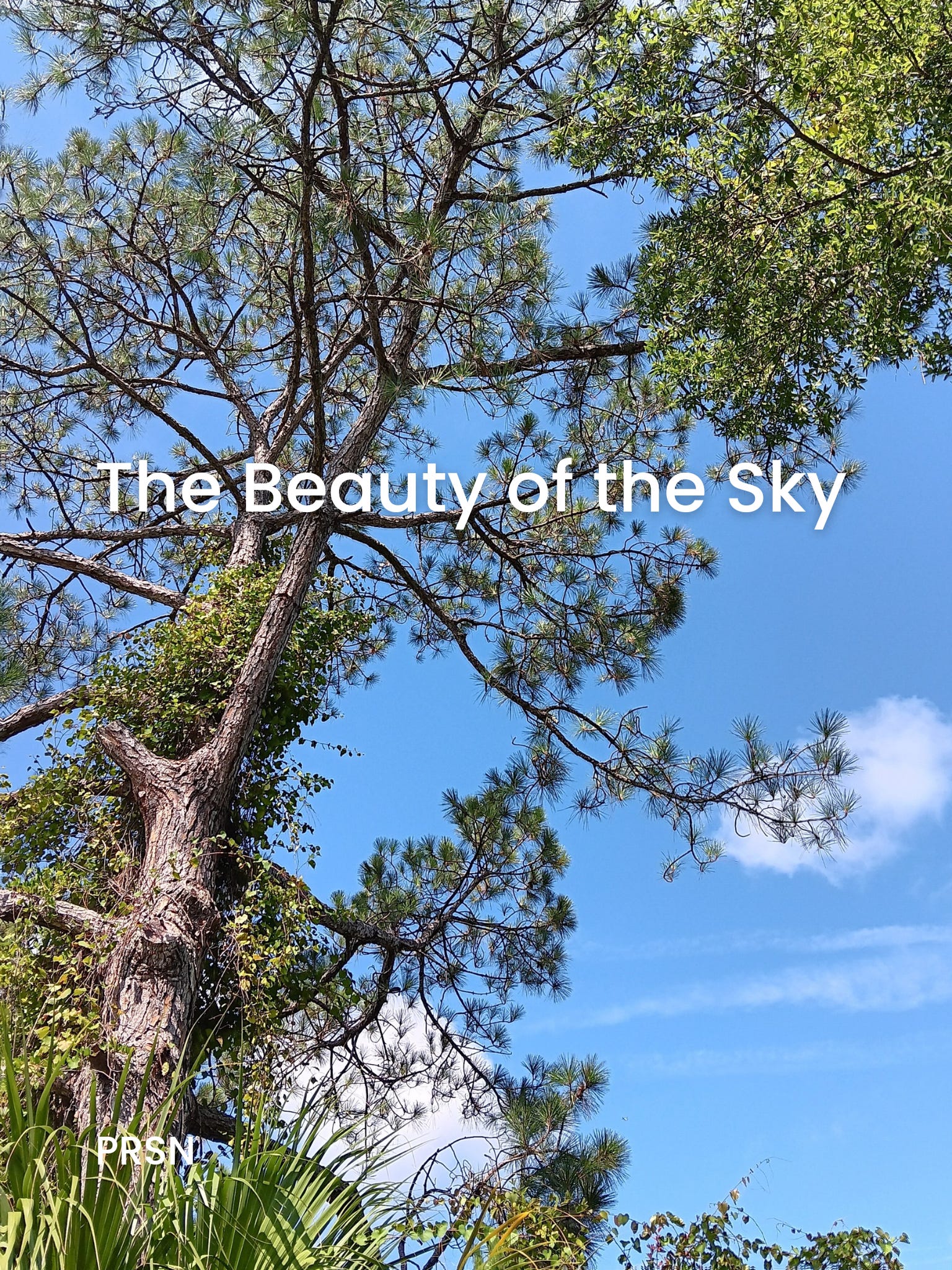 How Do You See The Sky - by Pennie R. S. Nelson
