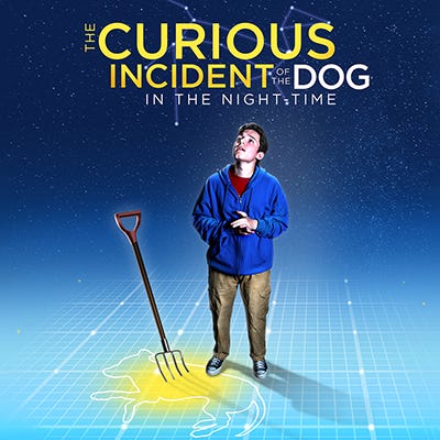 The Curious Incident of the Dog in the Night-Time (SVCT)