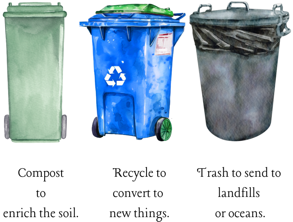 Easy Waste Segregation Tips: Improve Your Health and Environment