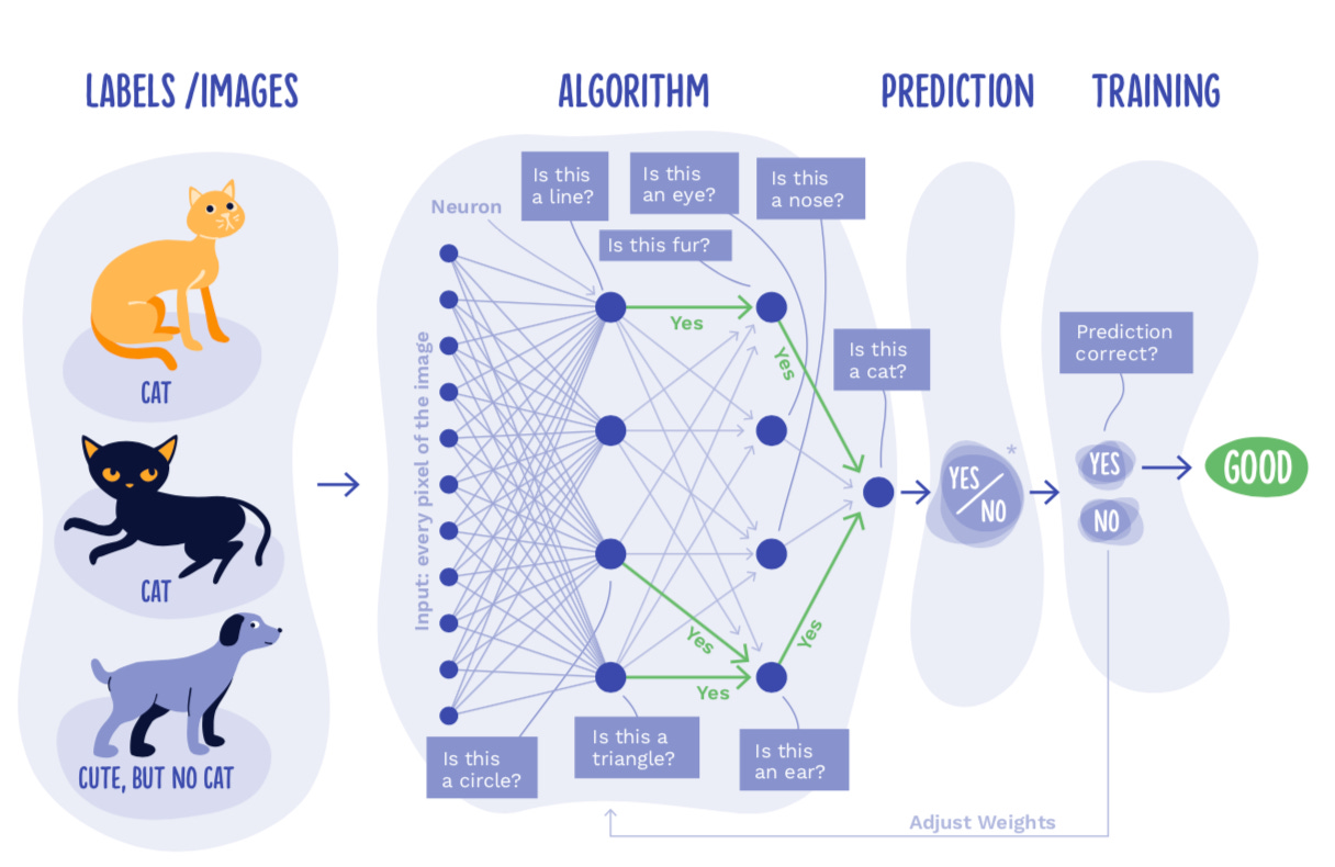 Deep Learning Basics - by Krishan Patel - Karma Insights