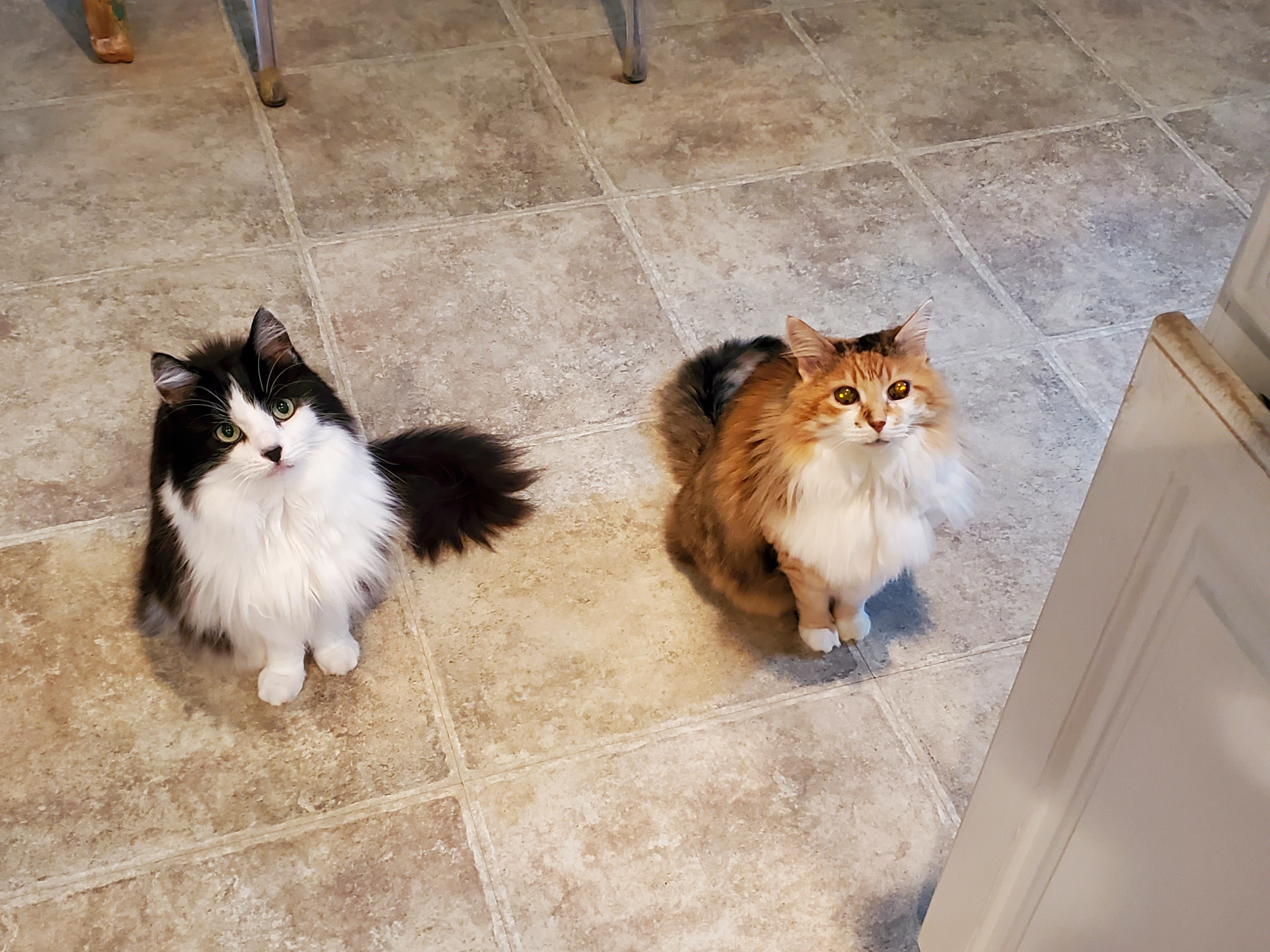 "Domestic Bliss" - Erica’s Substack