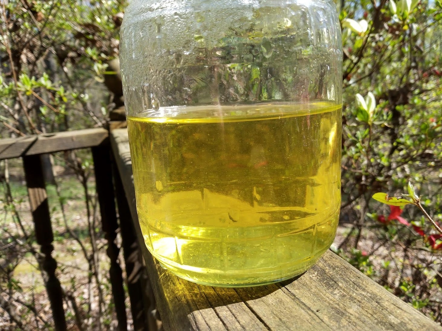 My Favorite Teas - by CopperVortex - Copper Vortex