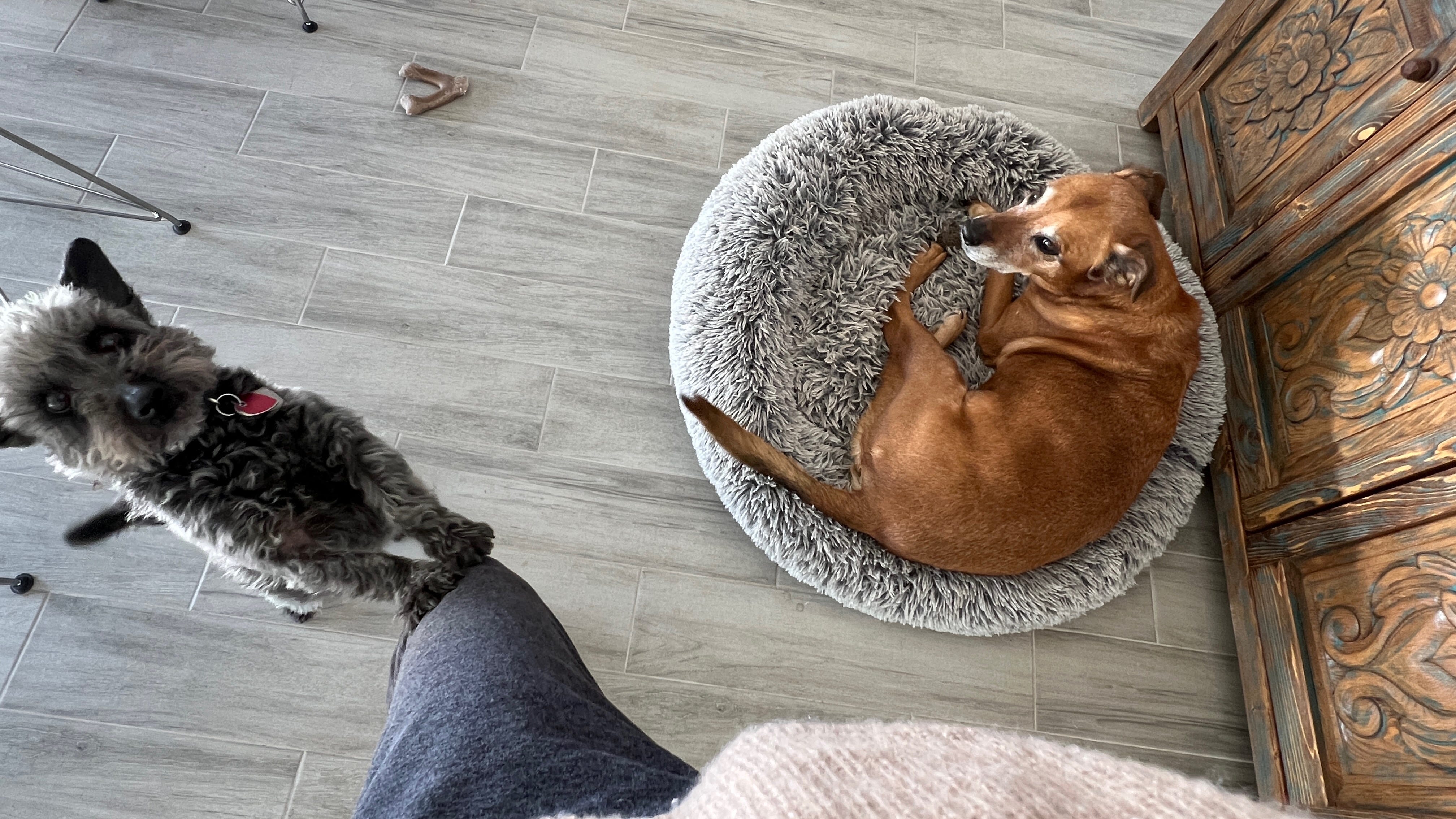 Love among the ruins - Three Threads with Katarina Wong