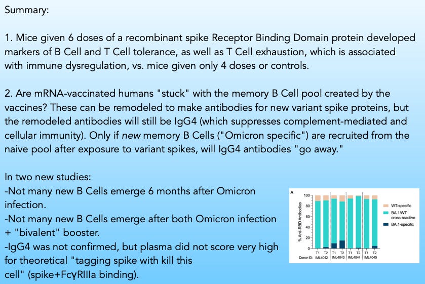 Omicron infections might be of little help with the IgG4 problem
